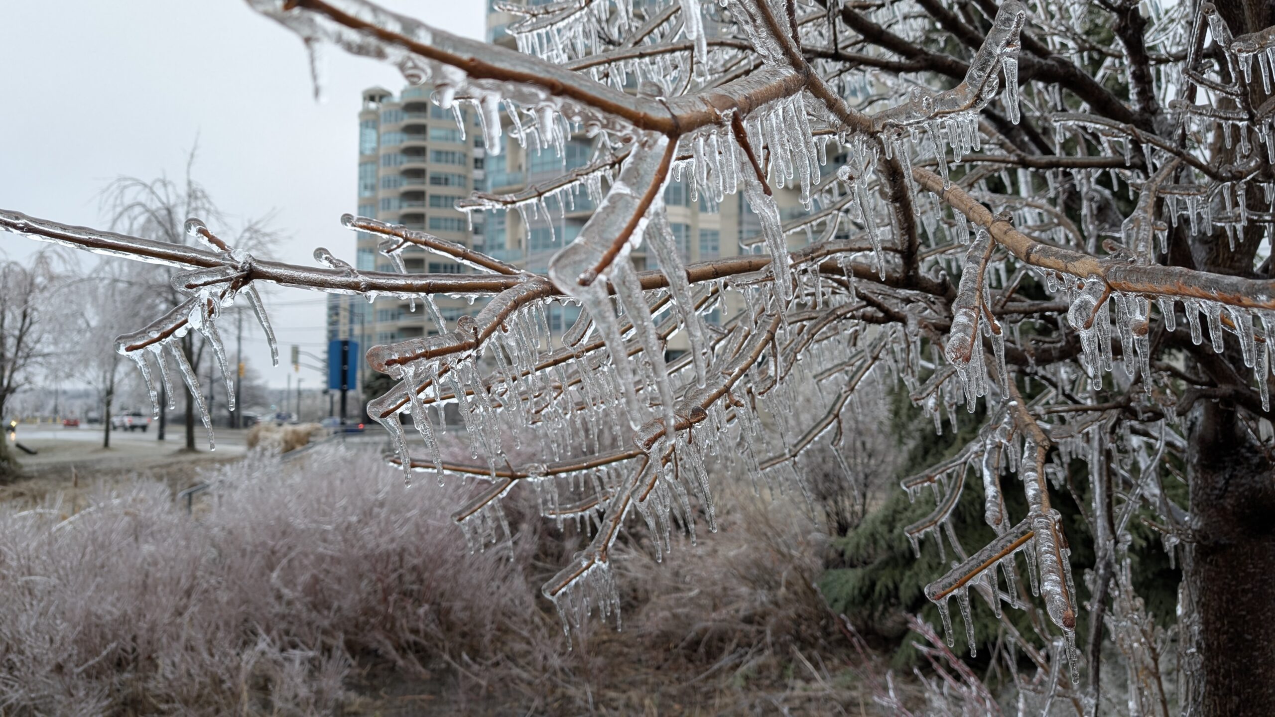 How Simcoe County Braved the 2025 Ice Storm